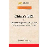 China's BRI in Different Regions of the World Cooperation ...